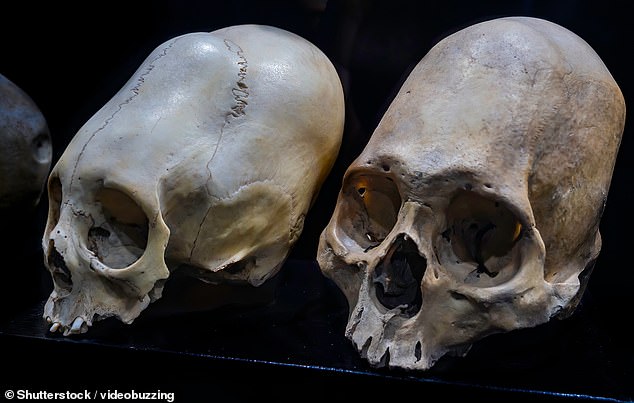 New DNA analysis of mysterious 'conehead' mummies fuels alien origin ...