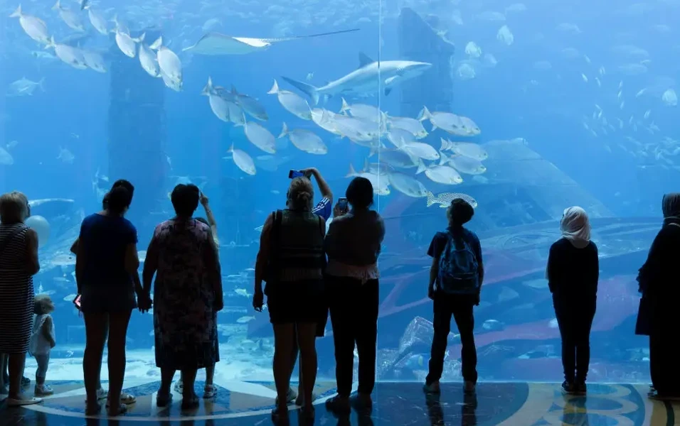 Dubai adventures for underwater dreamers