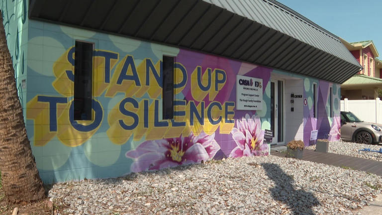 Florida strengthens domestic violence laws with new abuser tracking ...