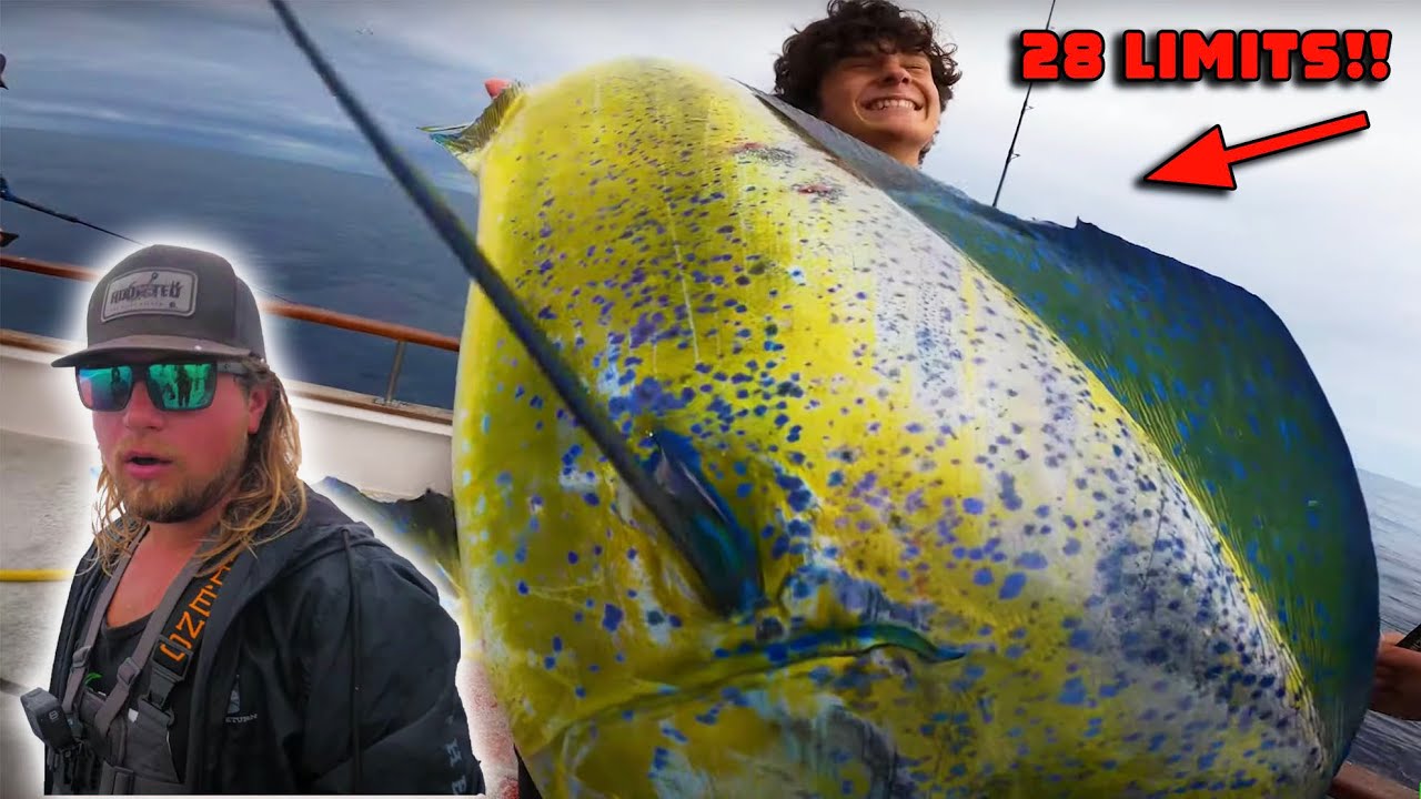 Chaotic ocean fishing with sashimi catch & cook! (New species)