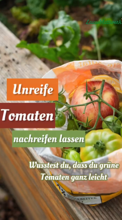 Wusstest du das schon? Tomaten Teil 2
