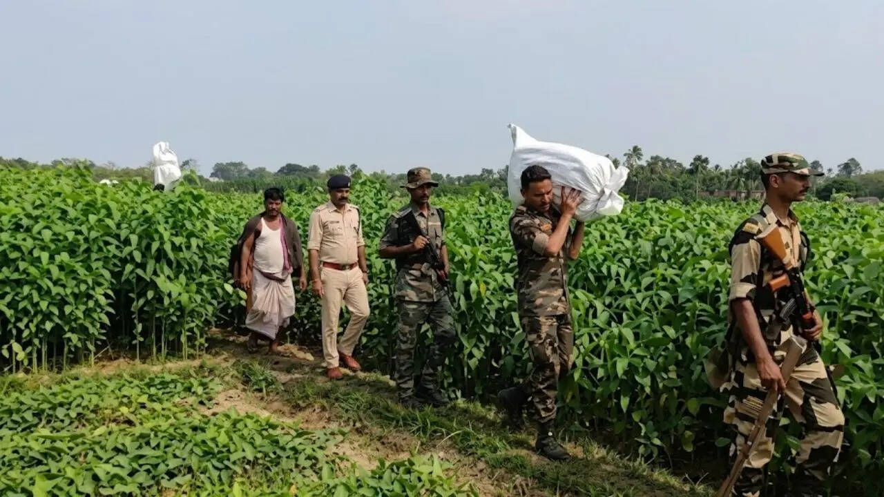 Watch: Rs 2.24 crore cash dug up in arrested TMC neta’s backyard