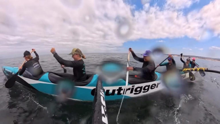 Sea lion makes splash at Monterey Bay race as it joins canoe crew