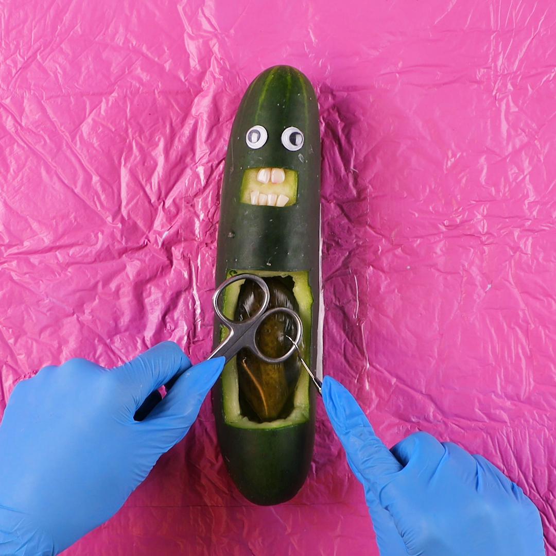 Cucumber gives birth to pickle baby! 🥒👶🎉