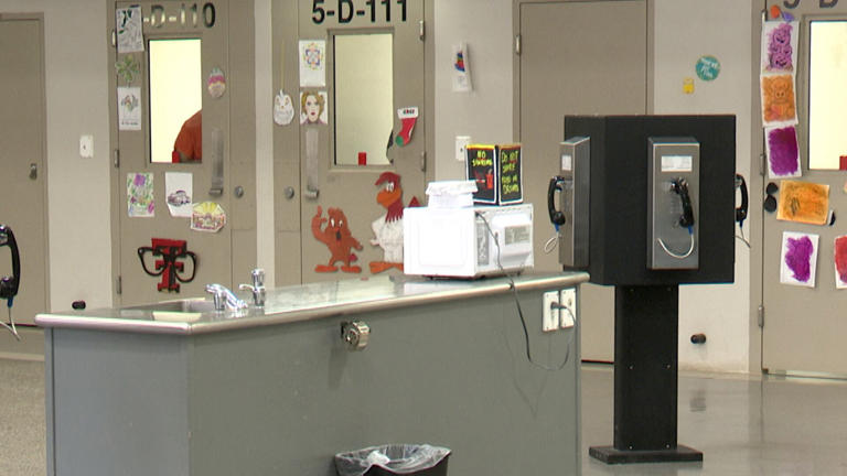 Long waitlists delay mental health services for defendants in Lubbock ...