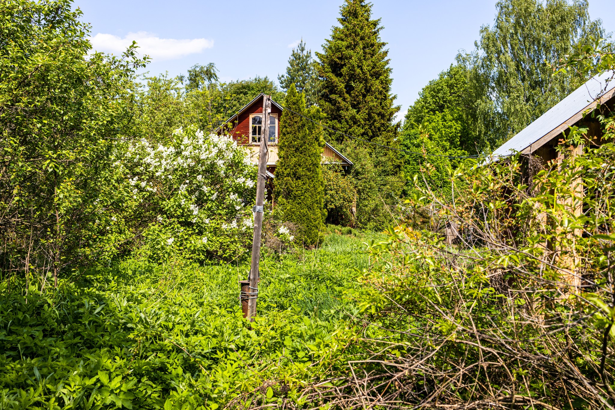 Couple finally explore their extra land—not ready for what they found