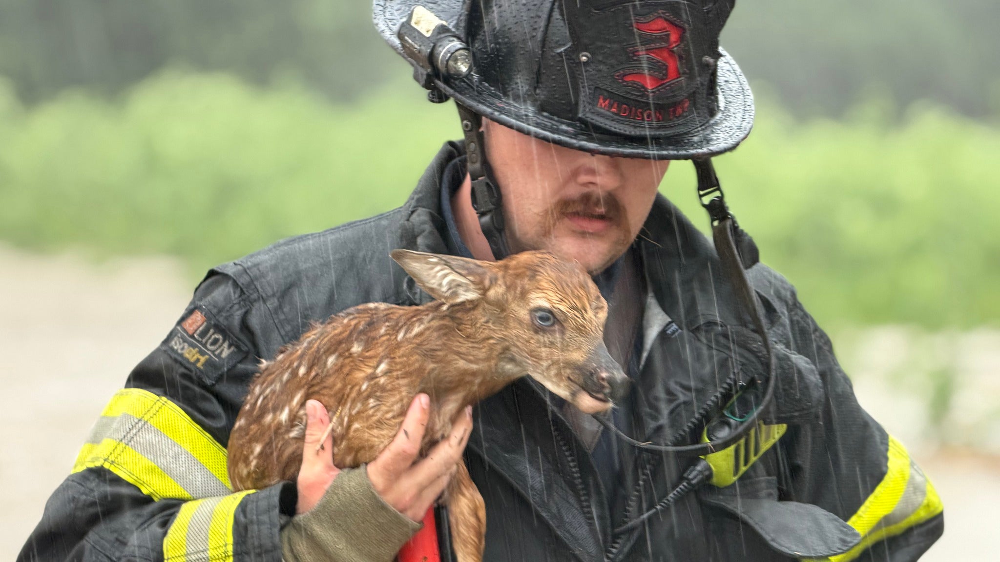 Firefighters rescue baby deer caught in Morgan County floodwaters