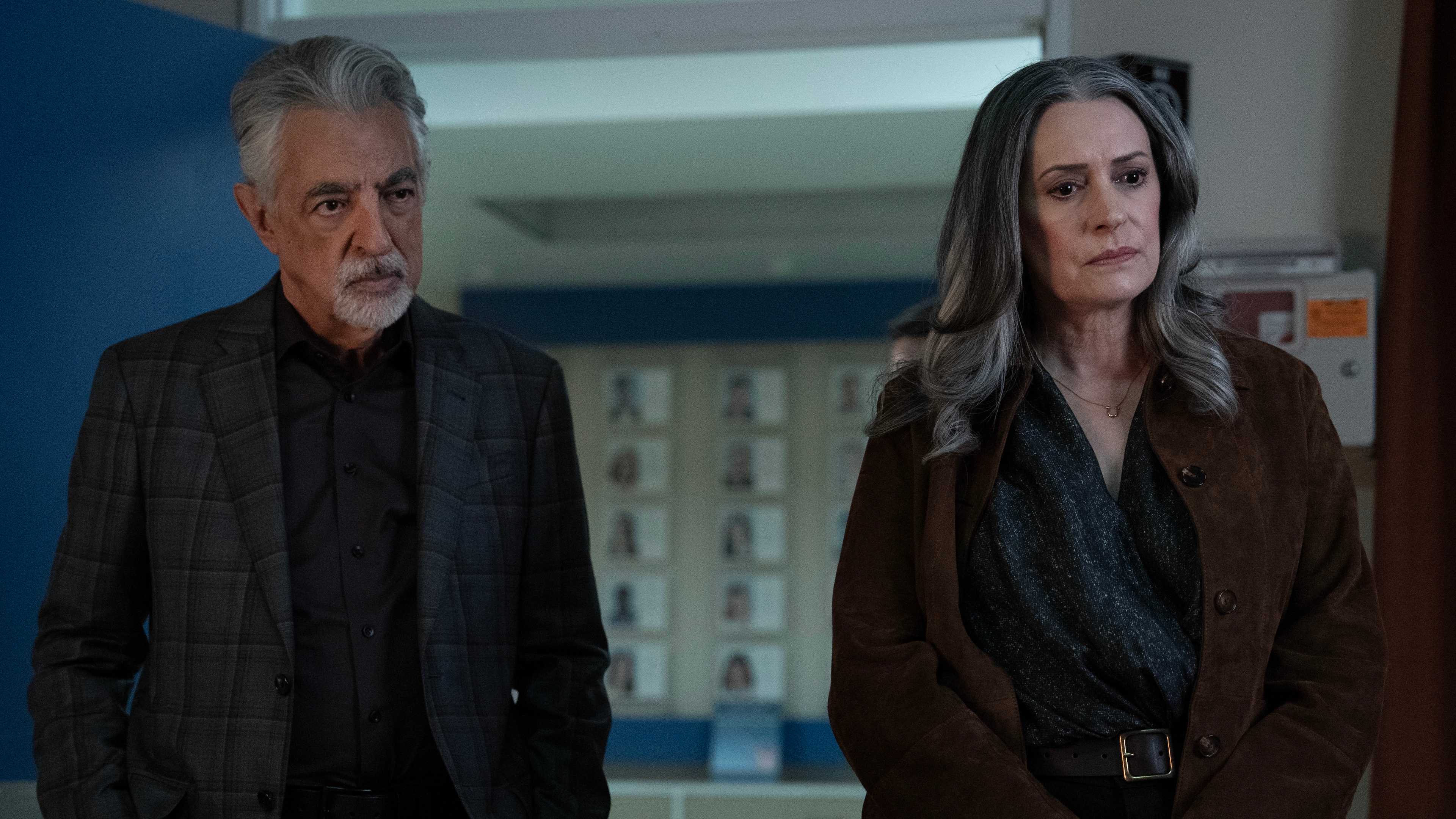 Criminal Minds season 19 review
