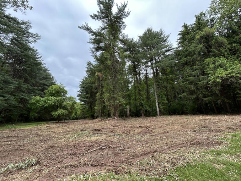 Conservation project to clear nearly a fourth of Dauphin County park