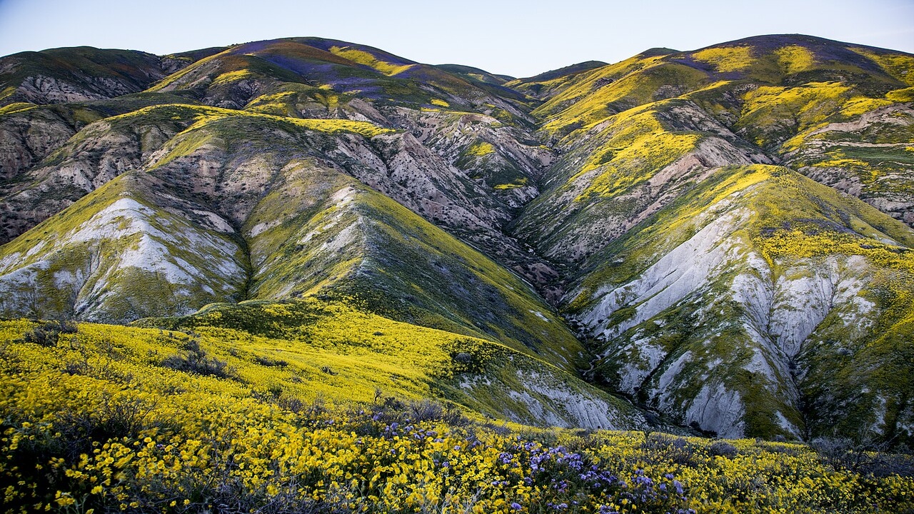 Walk the San Andreas Fault, watch a superbloom, and see almost nobody ...