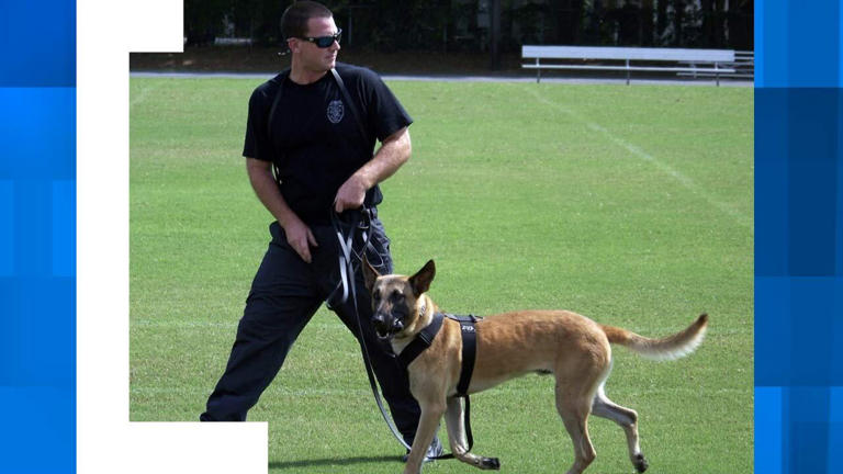 Retired Mount Pleasant police K-9 Arie remembered at final honors