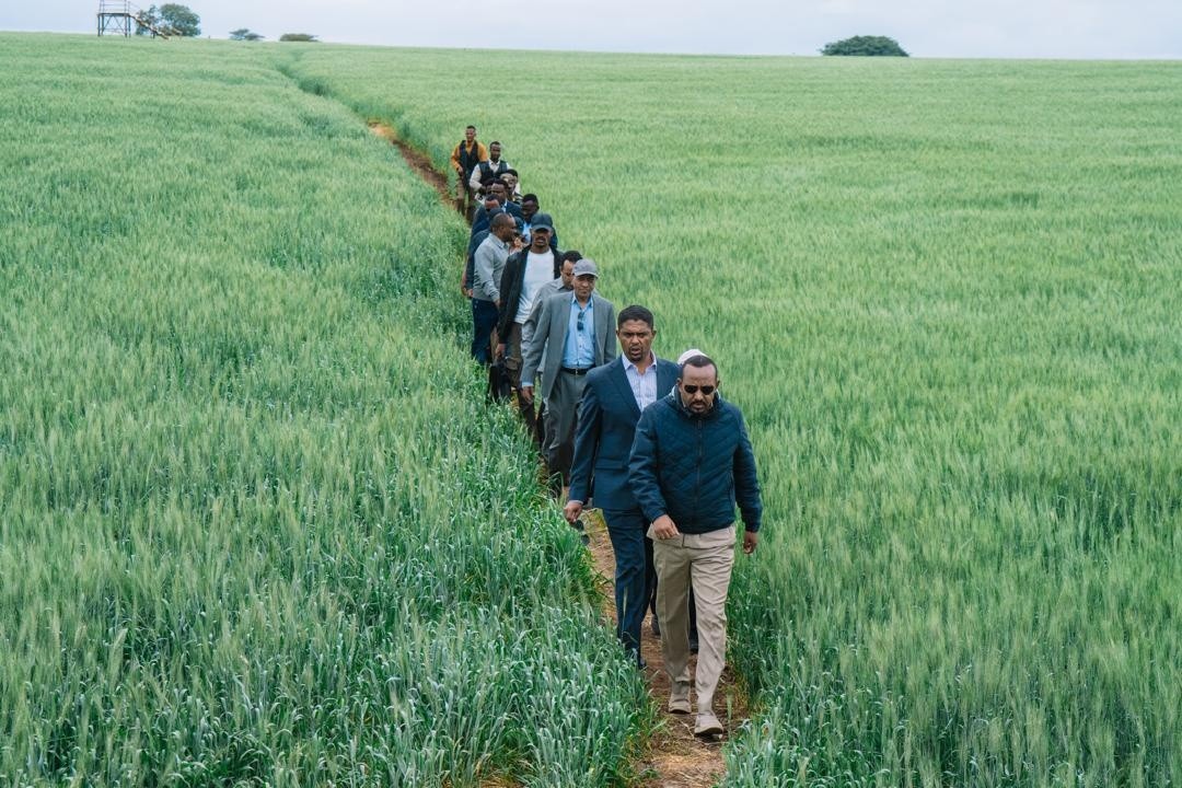 PM Abiy commends East Borana's agricultural progress, anticipates over ...