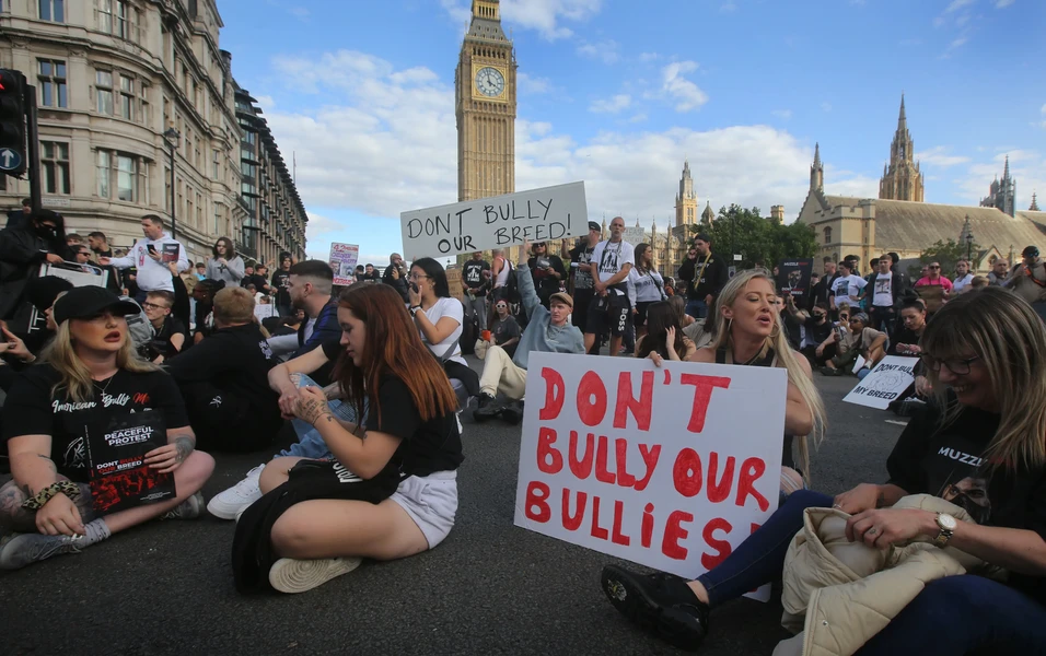 Woman admits charge over fatal XL bully attack on teen
