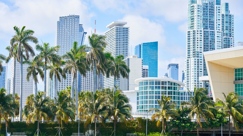 There's another thrilling side of Miami many Florida visitors never ...