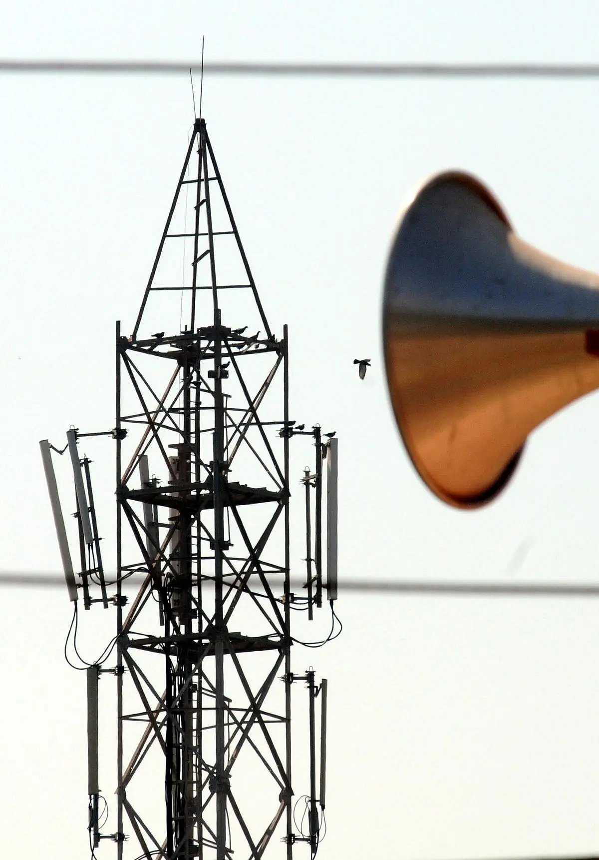 SPV to develop strong fibre network in Telangana
