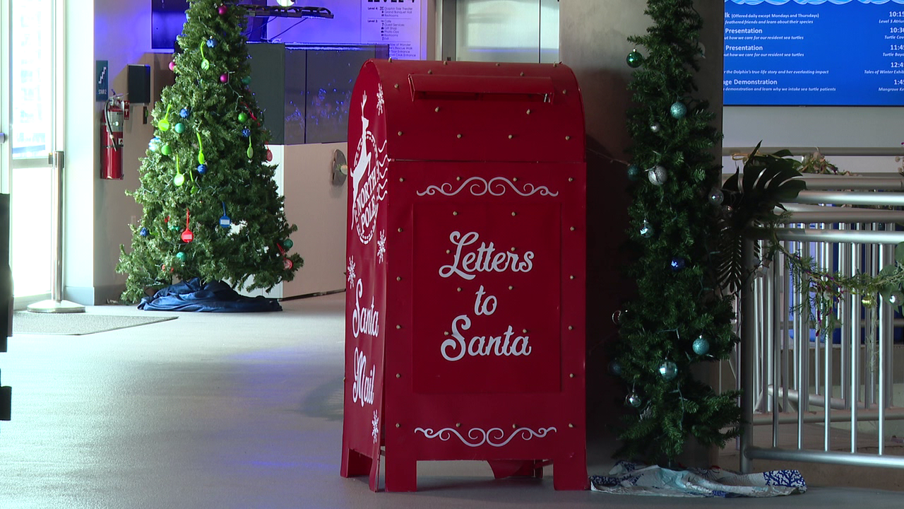 Clearwater Marine Aquarium serves as backdrop for new Christmas romance ...