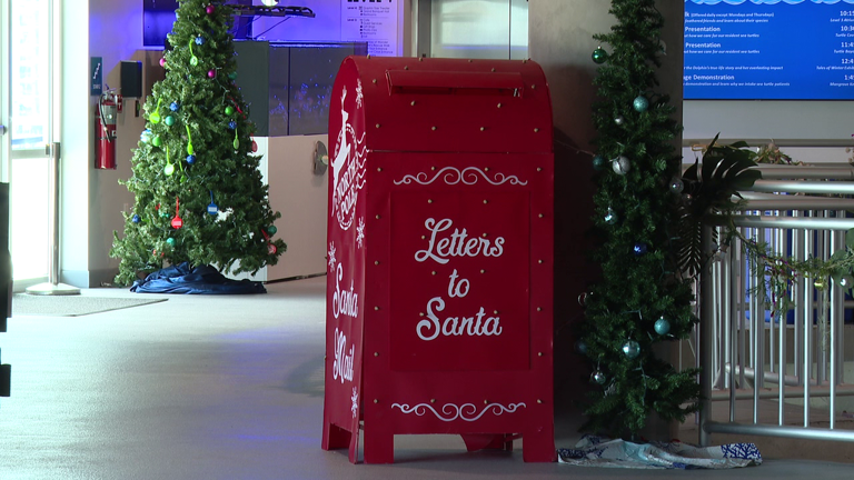 Clearwater Marine Aquarium serves as backdrop for new Christmas romance ...