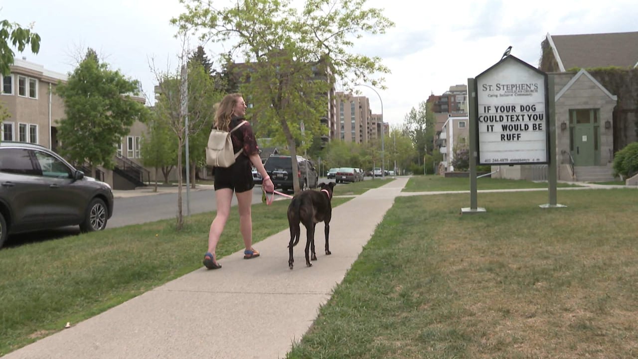 Making rental housing more accessible for pet owners