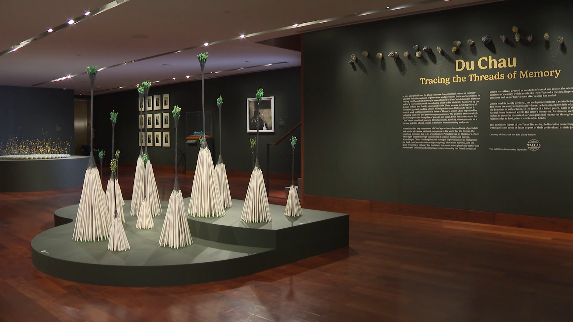 Dallas artist explores memory, hardship in new Crow Museum exhibit