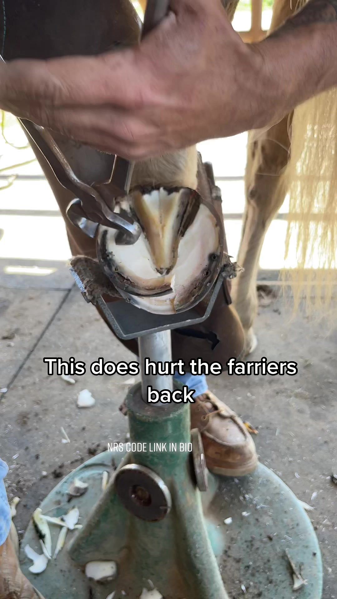 Does this work hurt a farrier’s back?