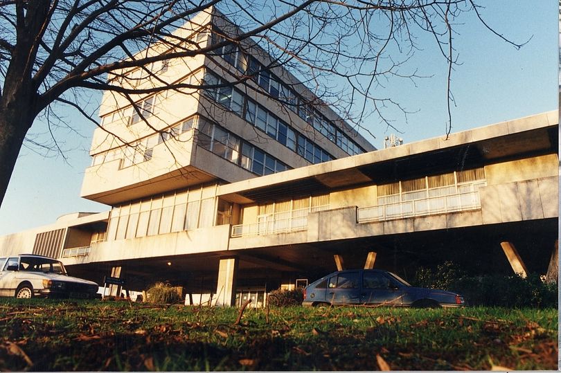 Reform bosses attempted 'work from home crackdown' for council staff in ...