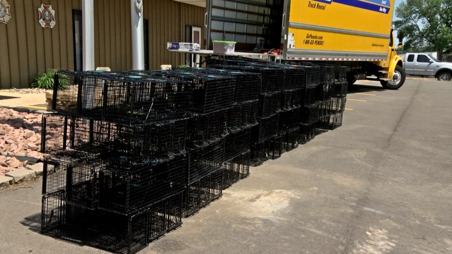 Mass cat trap-neuter-return event happening in Clay County this week