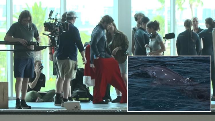 Crews are filming a new Christmas movie at Clearwater Marine Aquarium ...