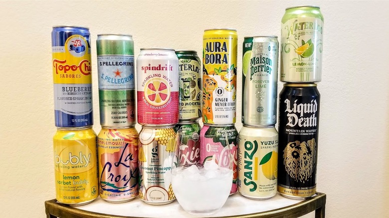 13 best canned sparkling water brands