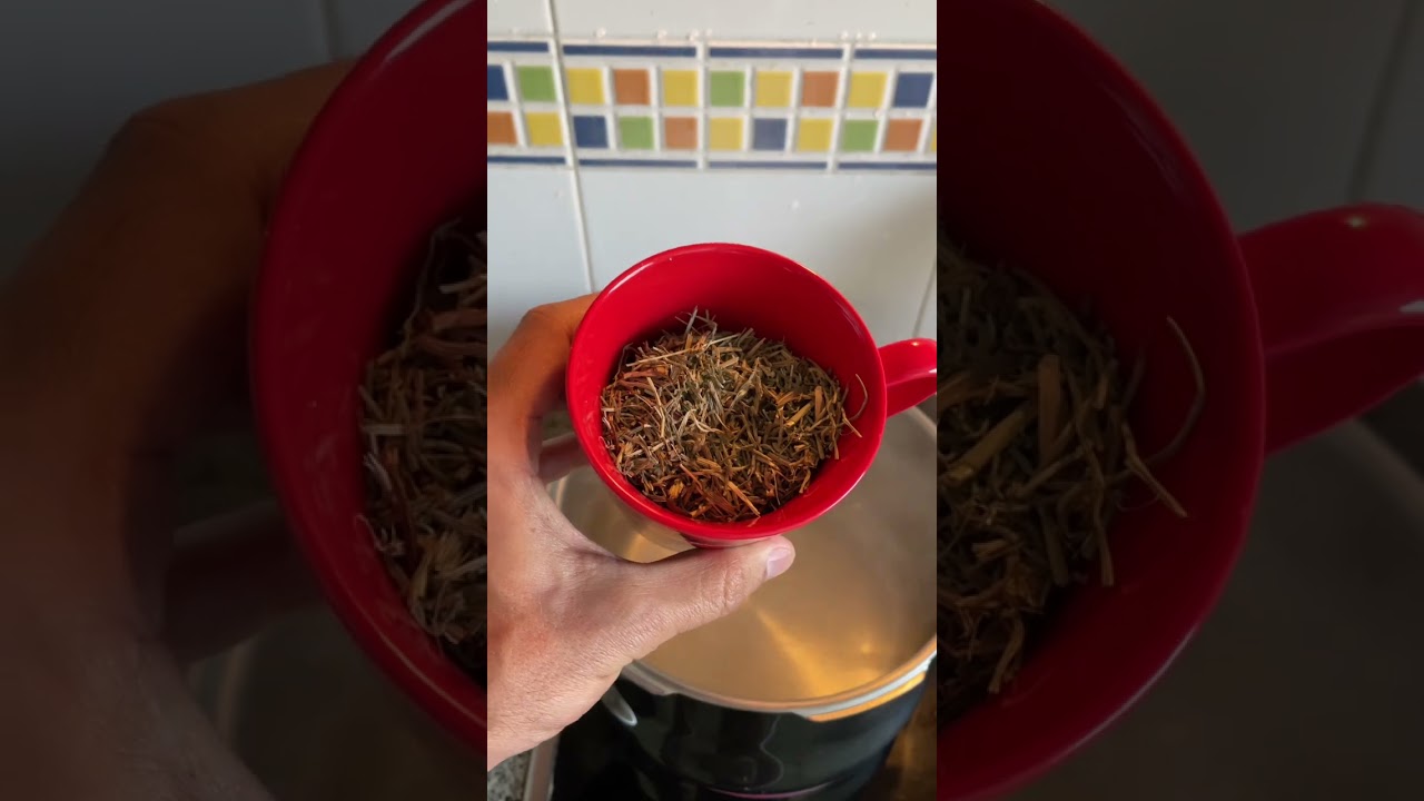 Cómo preparar fungicida de cola de caballo | en20metros #shorts
