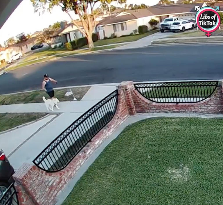 Outrage after man caught kicking American flag on Memorial Day while ...