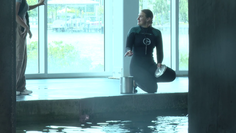 Clearwater Marine Aquarium serves as backdrop for new Christmas romance ...