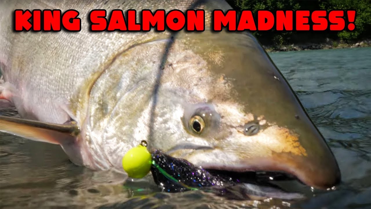 12 minutes of insane king salmon fishing! Bobber downs, savage ...