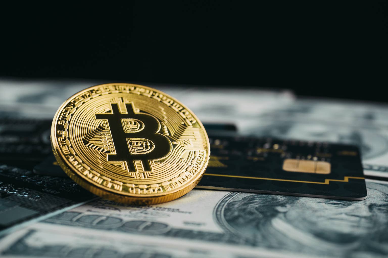 Fold CEO says 'partners don't bat an eye' when Bitcoin drops 50%