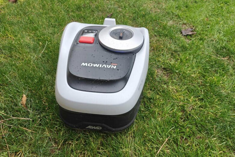J’ai mesuré mon jardin depuis l’espace pour (enfin) choisir le meilleur ...