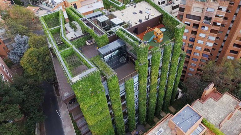 He turns concrete walls into living forests: Meet the Spanish botanist ...