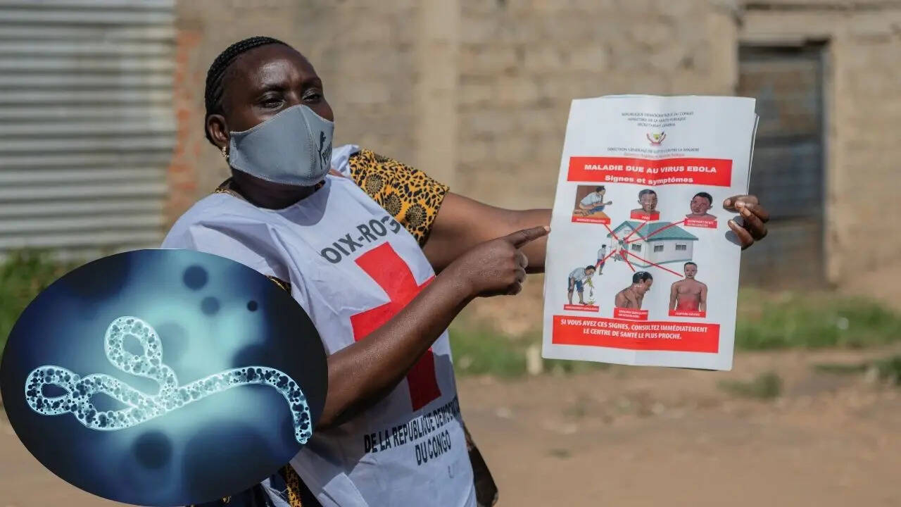 Experimental Ebola antibody MP314 may be Congo’s last hope as deadly ...