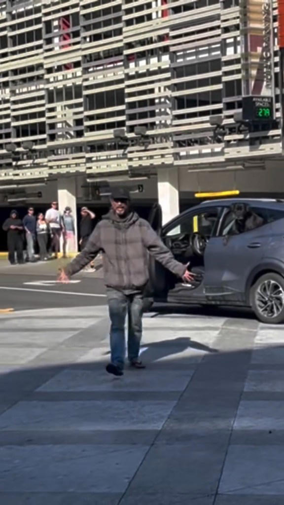 Bat-wielding driver with dog terrorizes shoppers in Santa Monica as ...