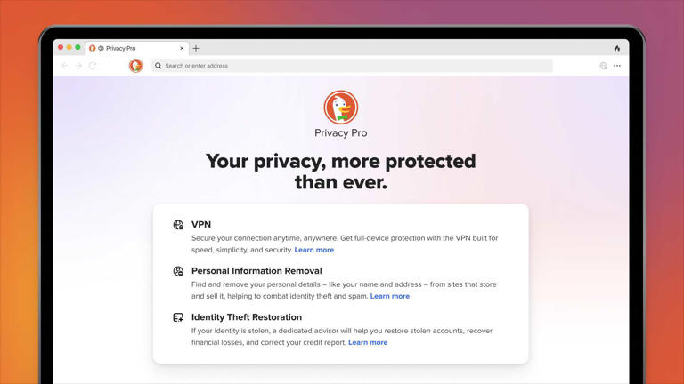 DuckDuckGo wins over a surge of users as Google pushes further into AI ...