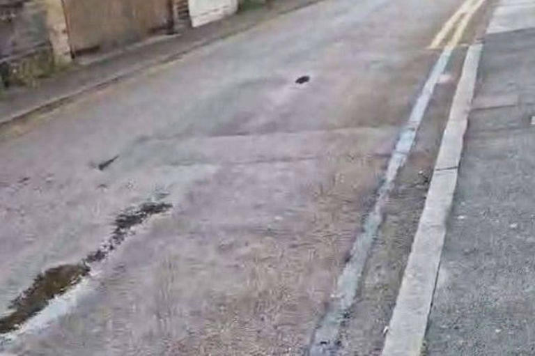 UK parking wars as mystery painter starts yellow lines battle with council
