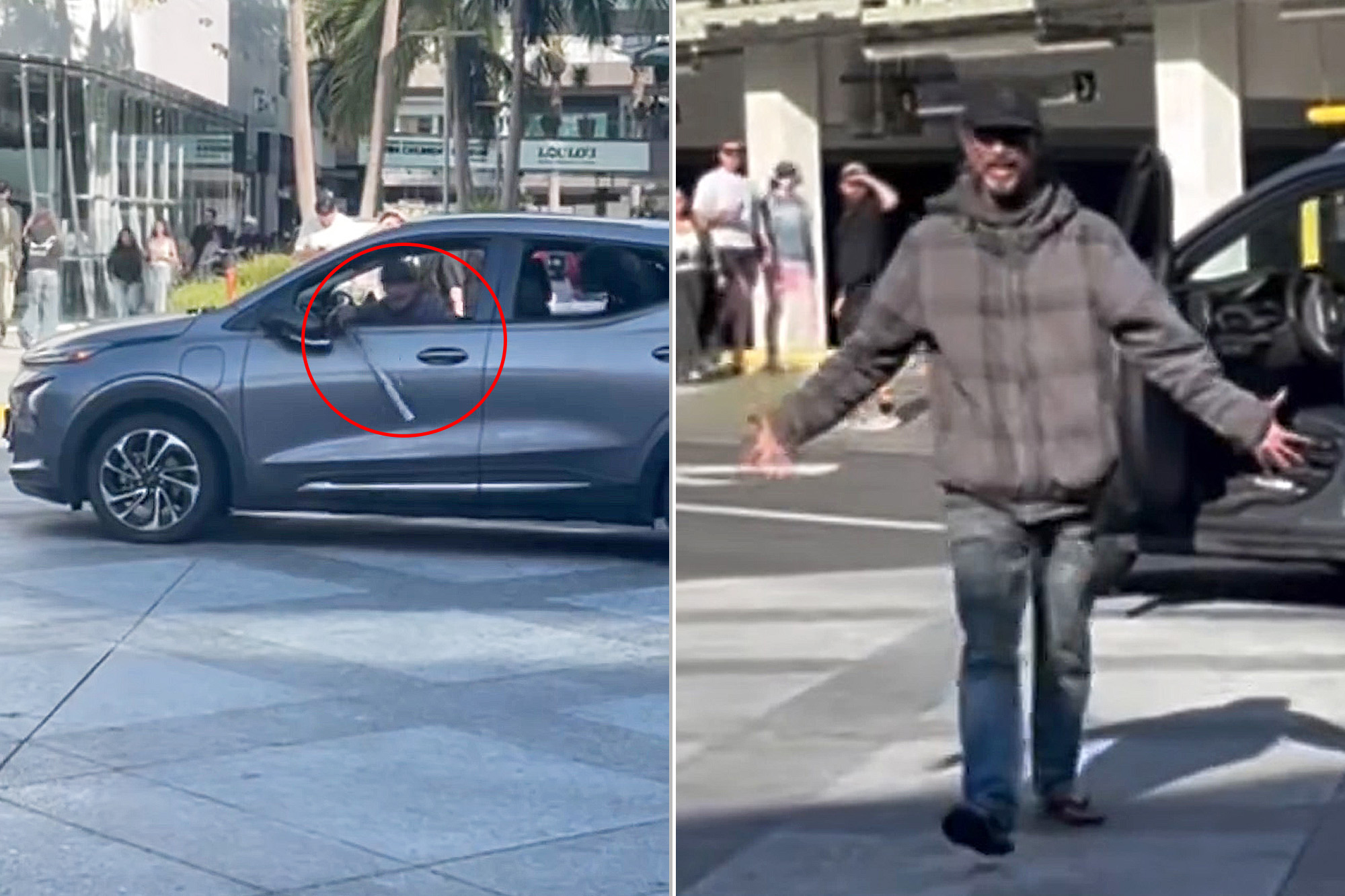 Bat-wielding driver with dog terrorizes shoppers in Santa Monica as ...