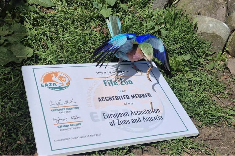 Family-run Fife zoo celebrates European accreditation