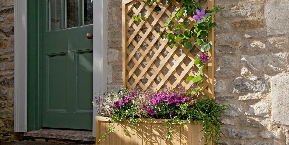 This £31.50 Argos planter is the easiest way to create garden privacy