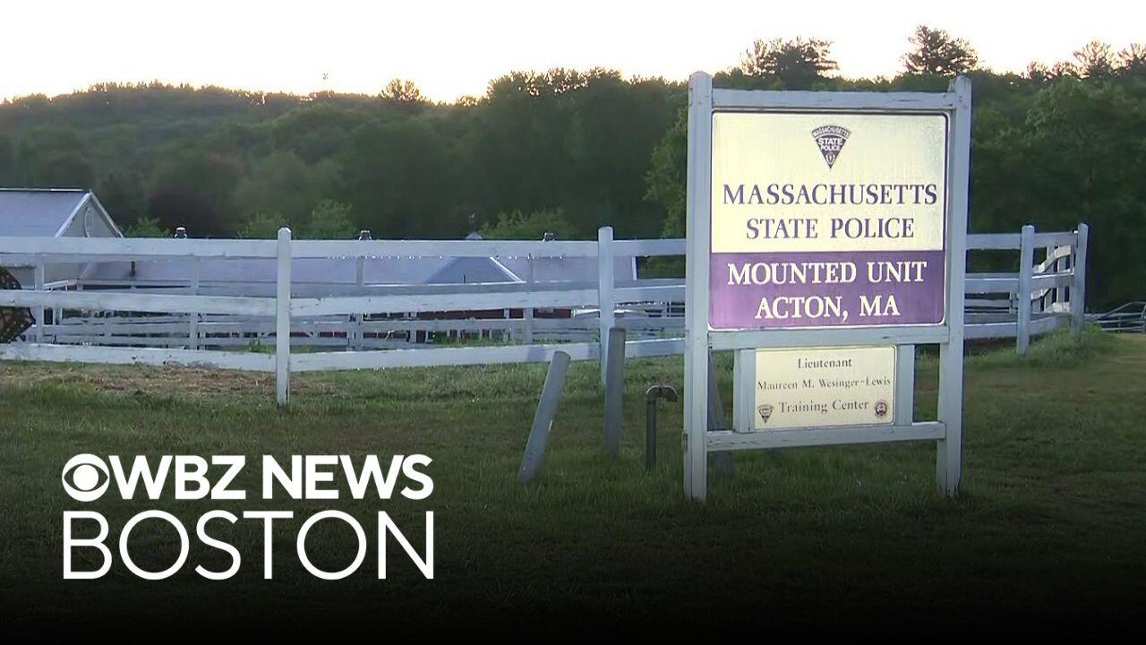 Massachusetts state trooper shot after accidental weapon discharge