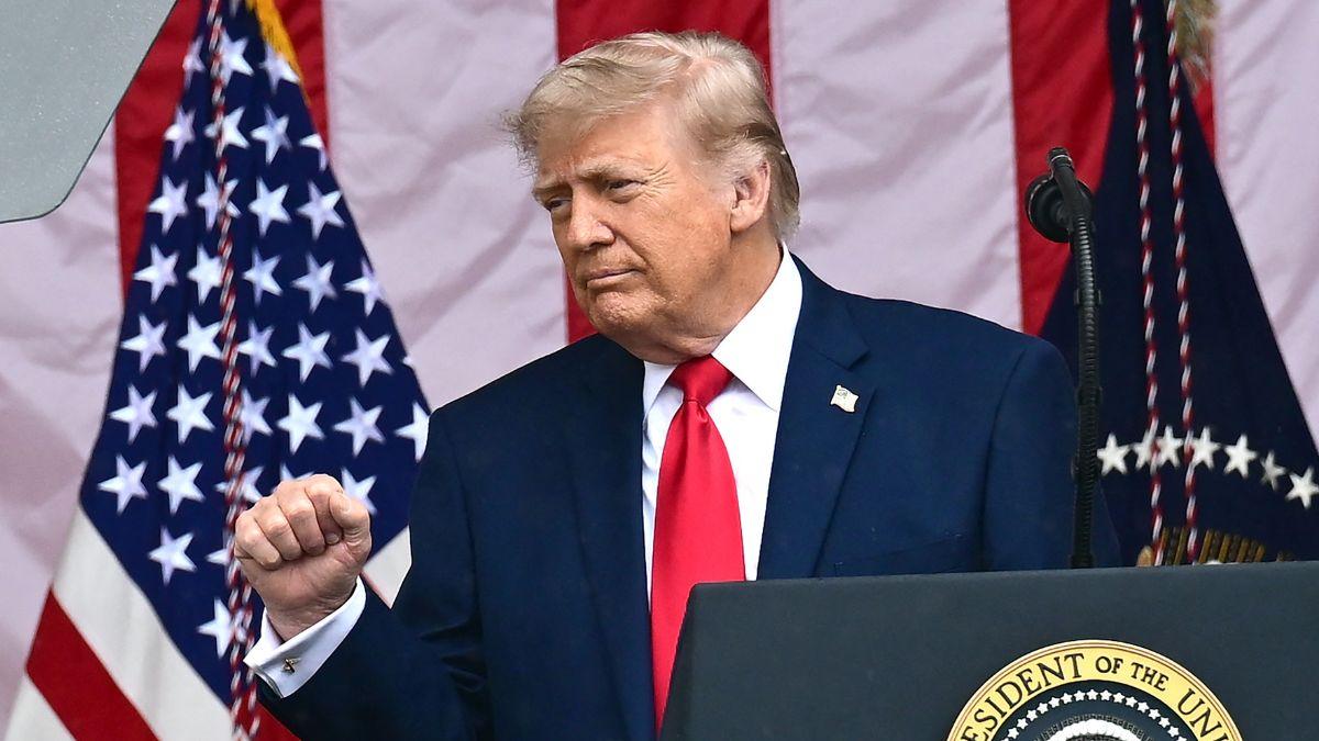 Donald Trump's Memorial Day posting blitz collides with solemn ...