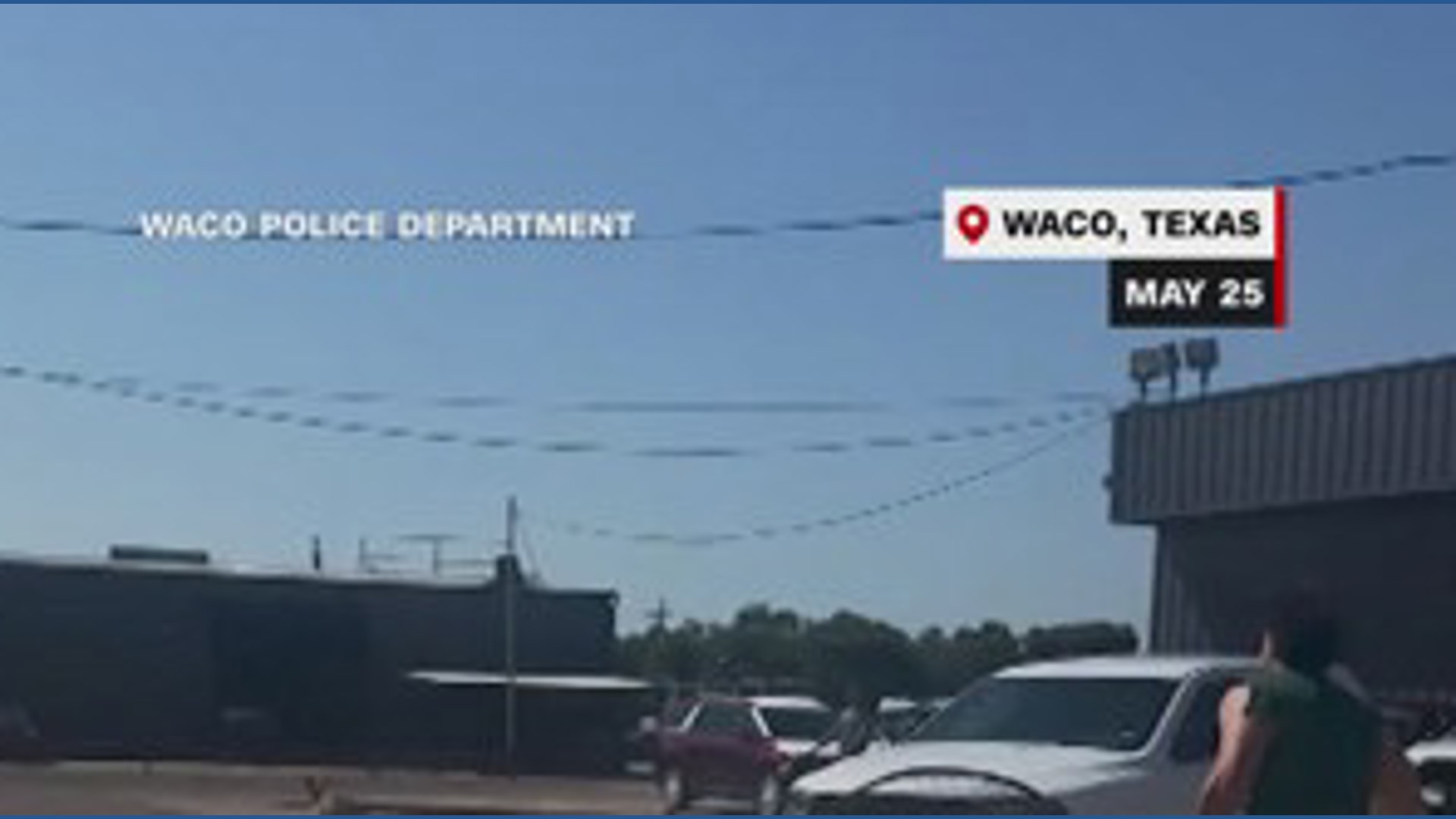 Police pursue loose kangaroo in Texas