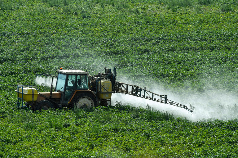 Quel impact les pesticides ont-ils vraiment sur l’environnement et la ...