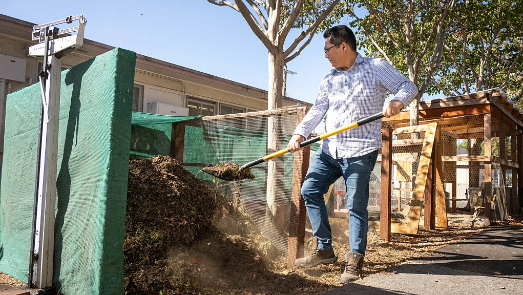 Surprising things you can compost at home