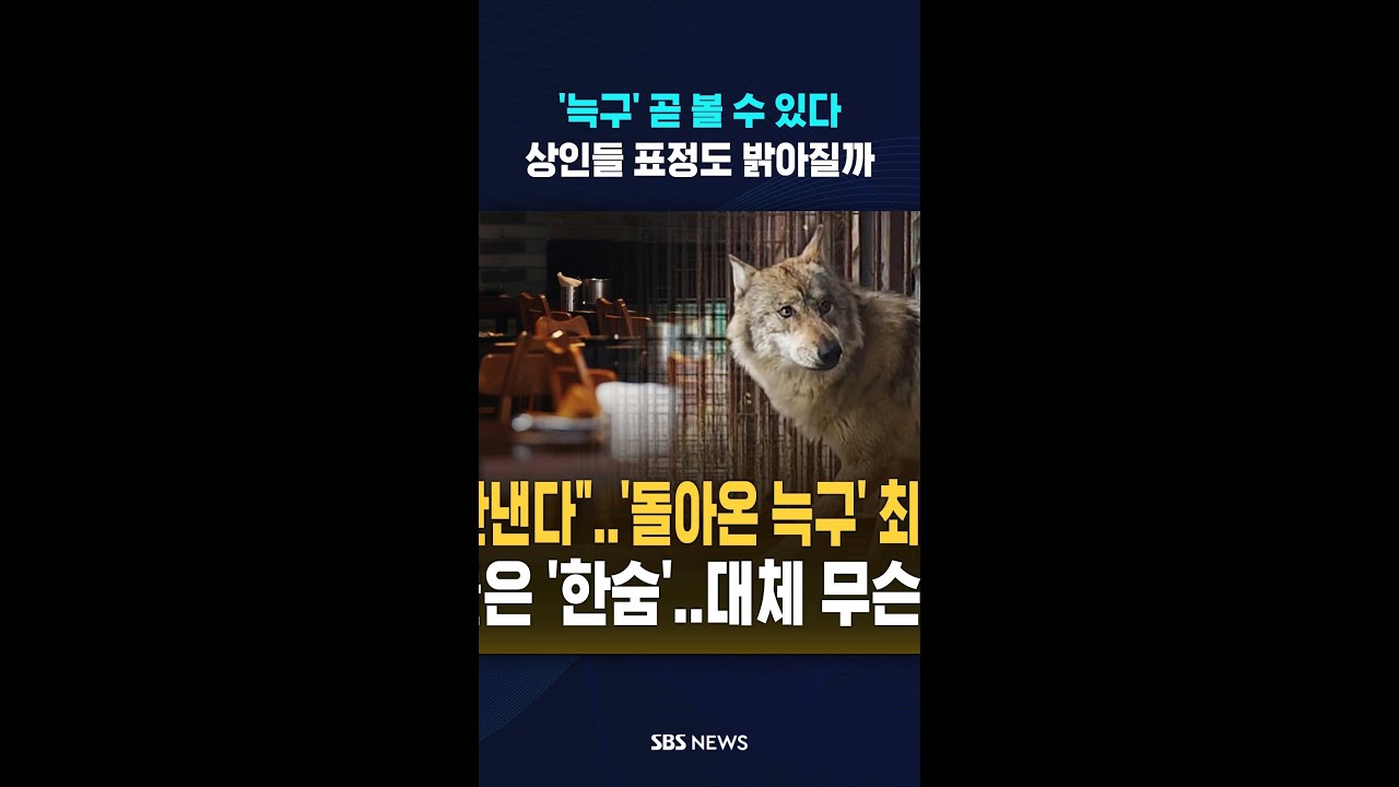 '늑구야 곧 만나' 오월드 곧 개장. 상인들 표정도 밝아질까 #shorts