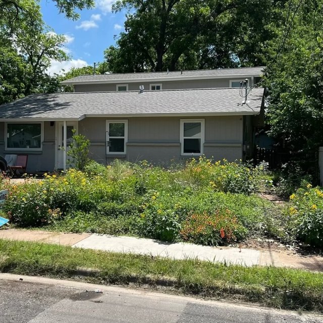 Jaw-dropping before-and-after photos show incredible 6-month lawn ...