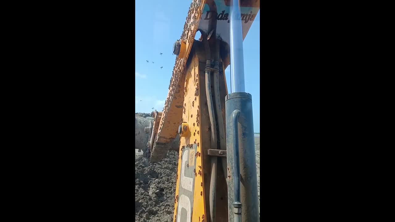 Backhoe operator terrified when thousands of bees swarm cabin